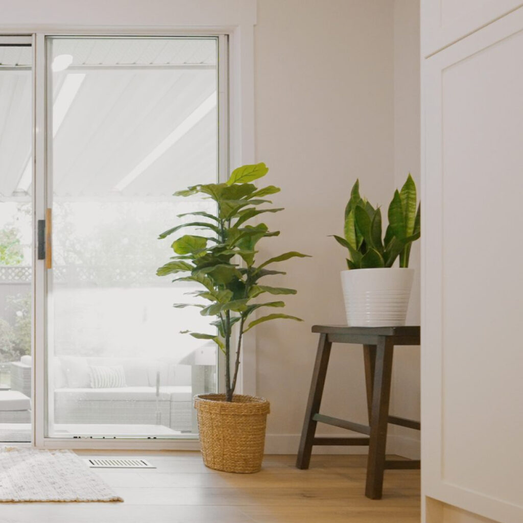 Retractable Screen Solutions for Indoors and Outdoors | Phantom Screens Pro